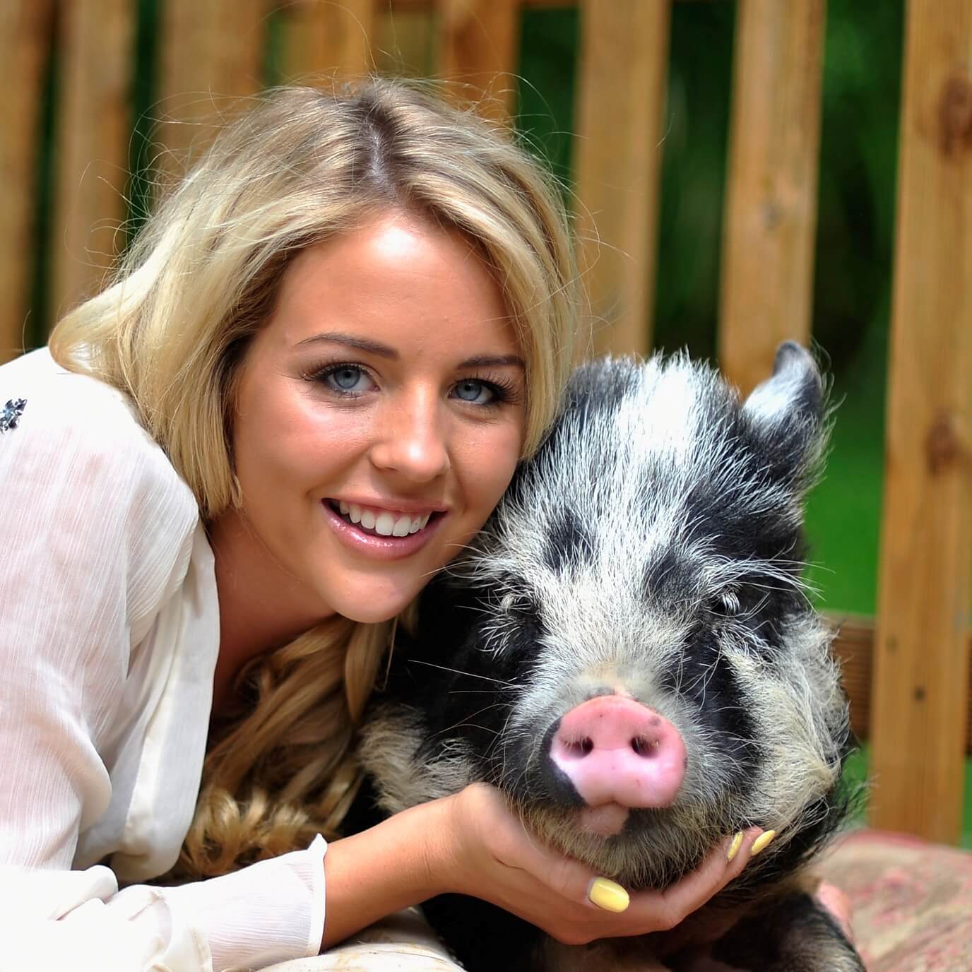The Only Way Is Freedom: Lydia Bright and Mr Darcy Protest Proposed Pig ...