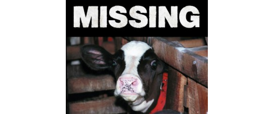 Missing: Charlie, 2 Days Old! Can You Help?