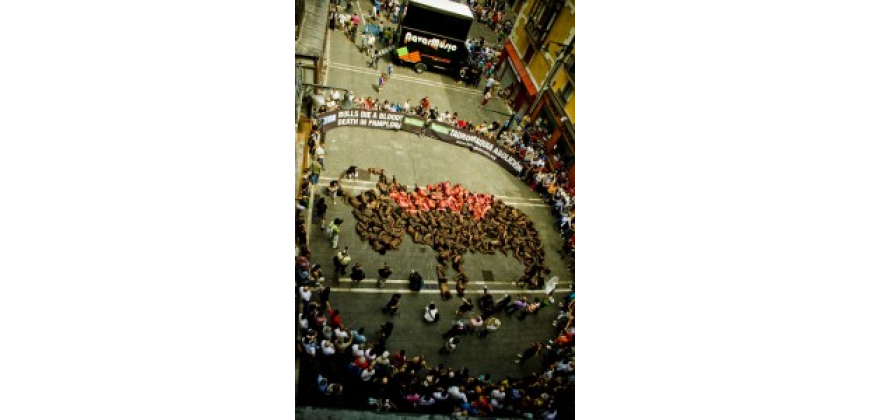 Destination: Pamplona