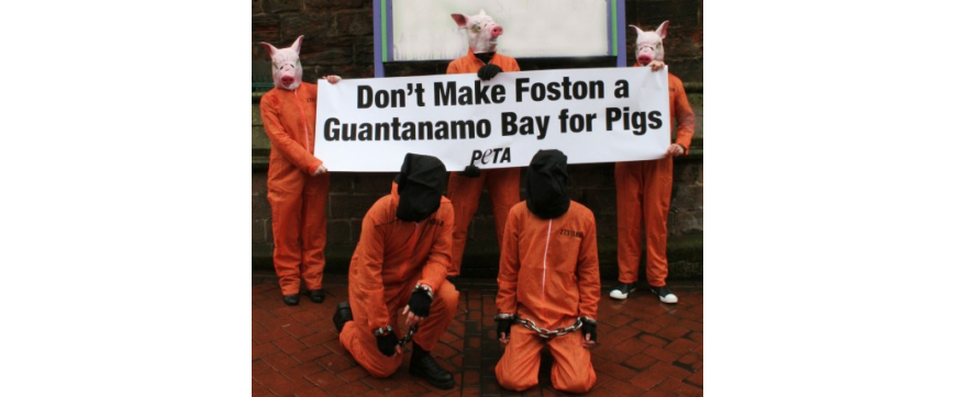 'Pig Prisoners' Protest Foston Factory Farm, 'Guantanamo Bay for Pigs'