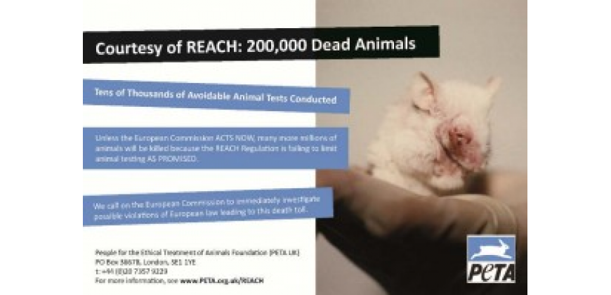 The World's Largest Animal Testing Programme - Even Worse Than You Thought