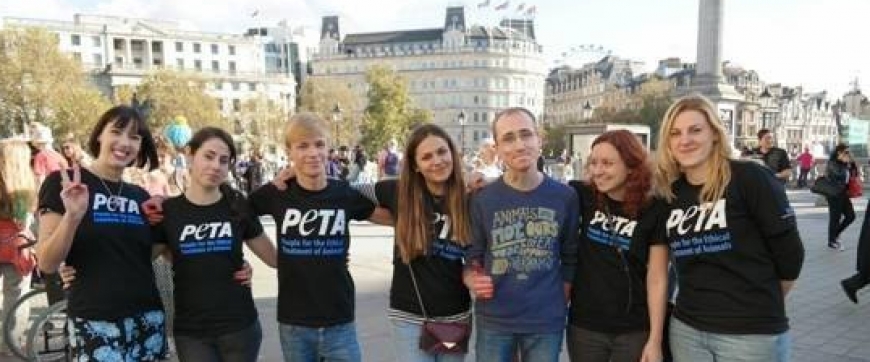 Working Life at PETA UK | Work for PETA - PETA UK