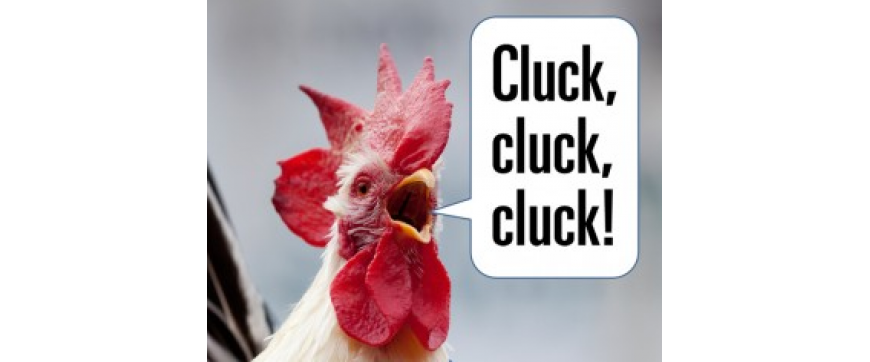 PETA to Distribute Revolutionary Chicken-Voice Translators