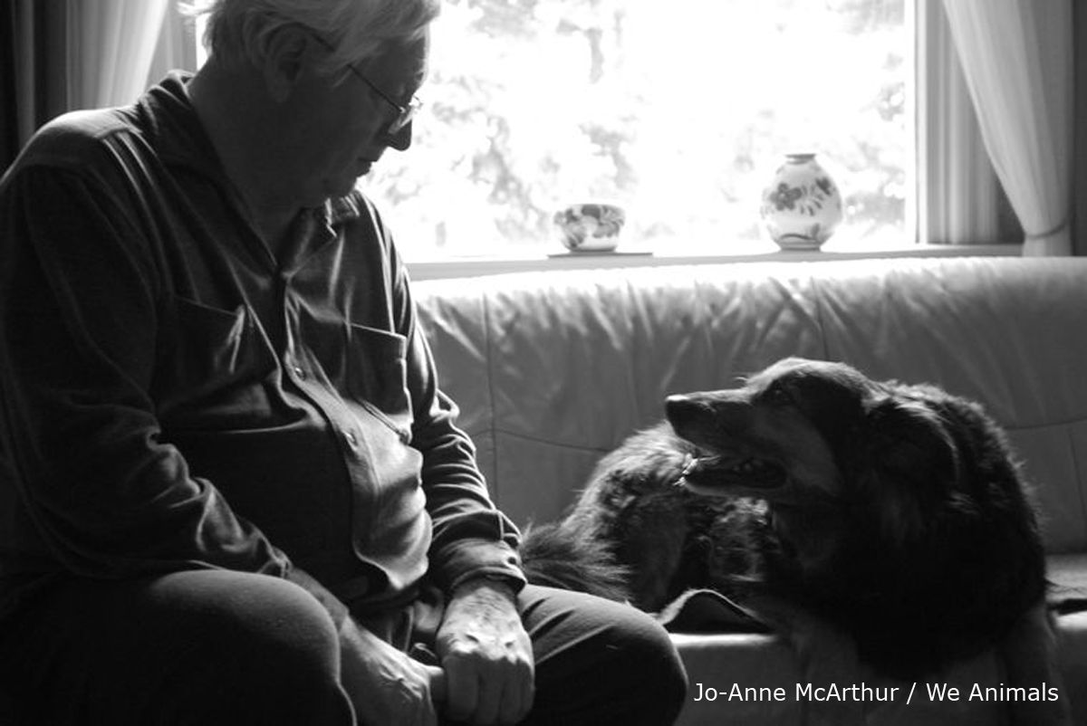 Living With Animal Companions | Animals Are Not Ours to Abuse | PETA.org.uk