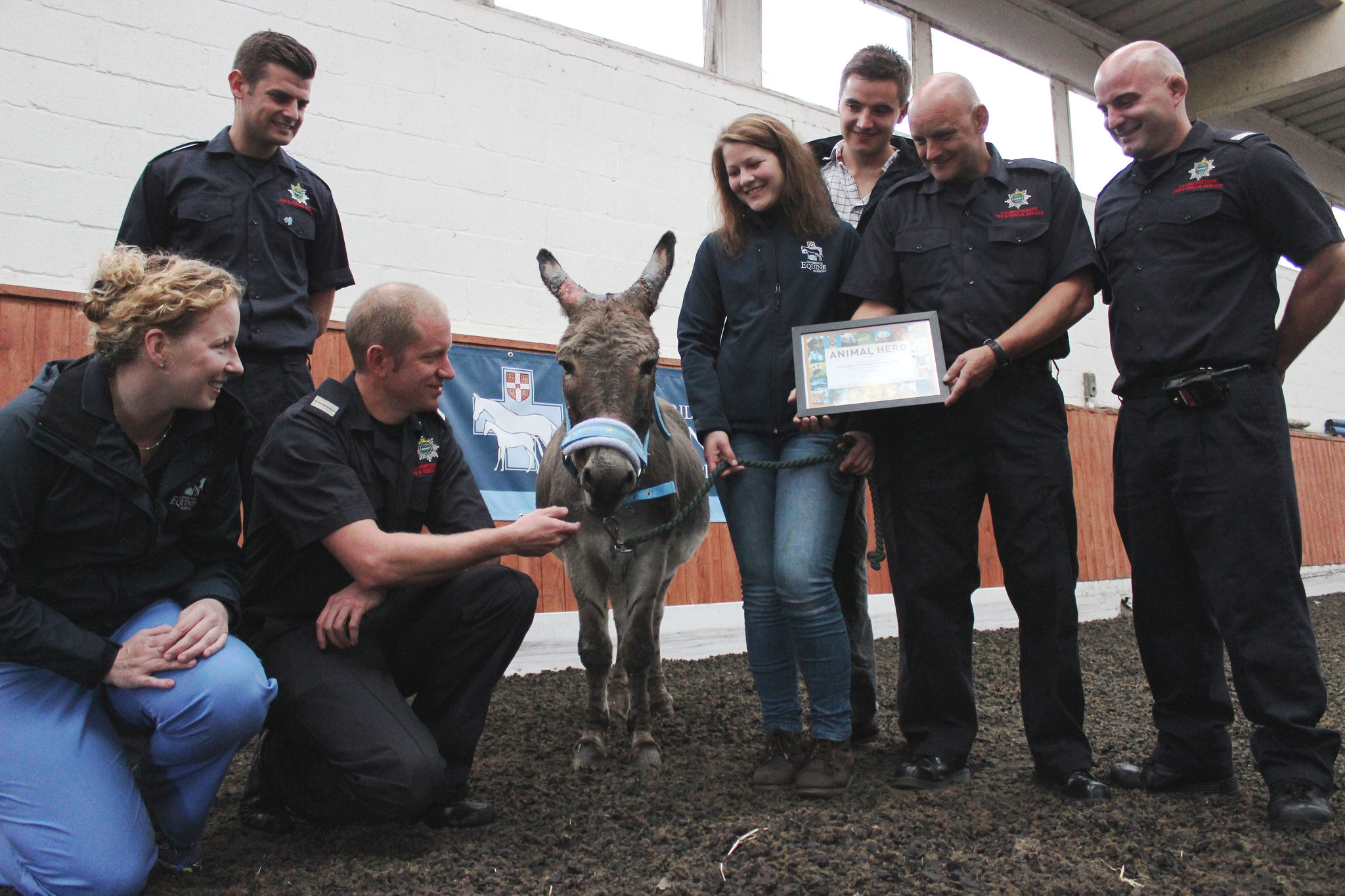 Hero Fire-Fighters Come to Noah the Donkey's Rescue