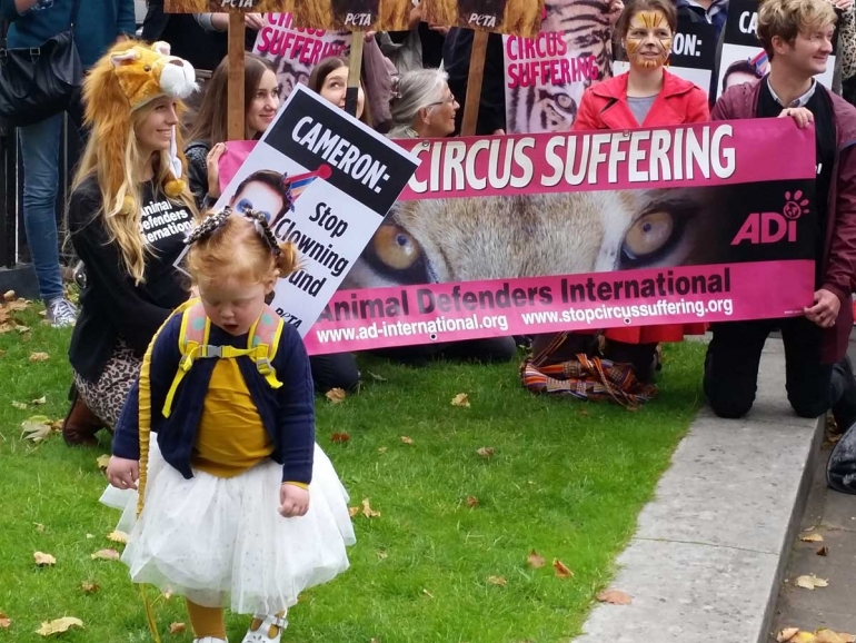 PHOTOS: 'Wild Animals' Roar for Cruel Circuses to End