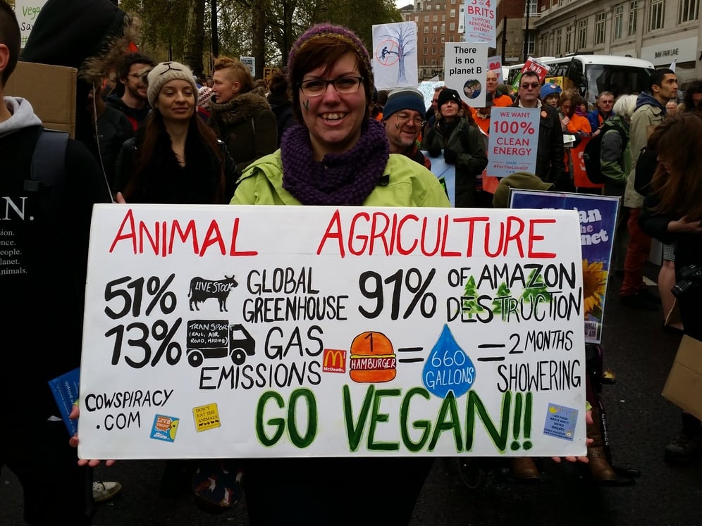 15 Wonderful Pro-Vegan Signs Spotted at the London #ClimateMarch