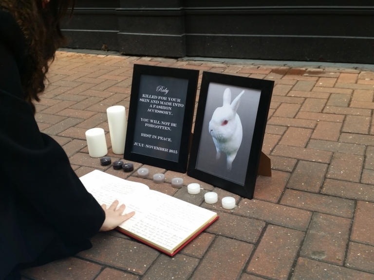 This Touching Memorial for a Rabbit Just Appeared Outside a Shop That ...