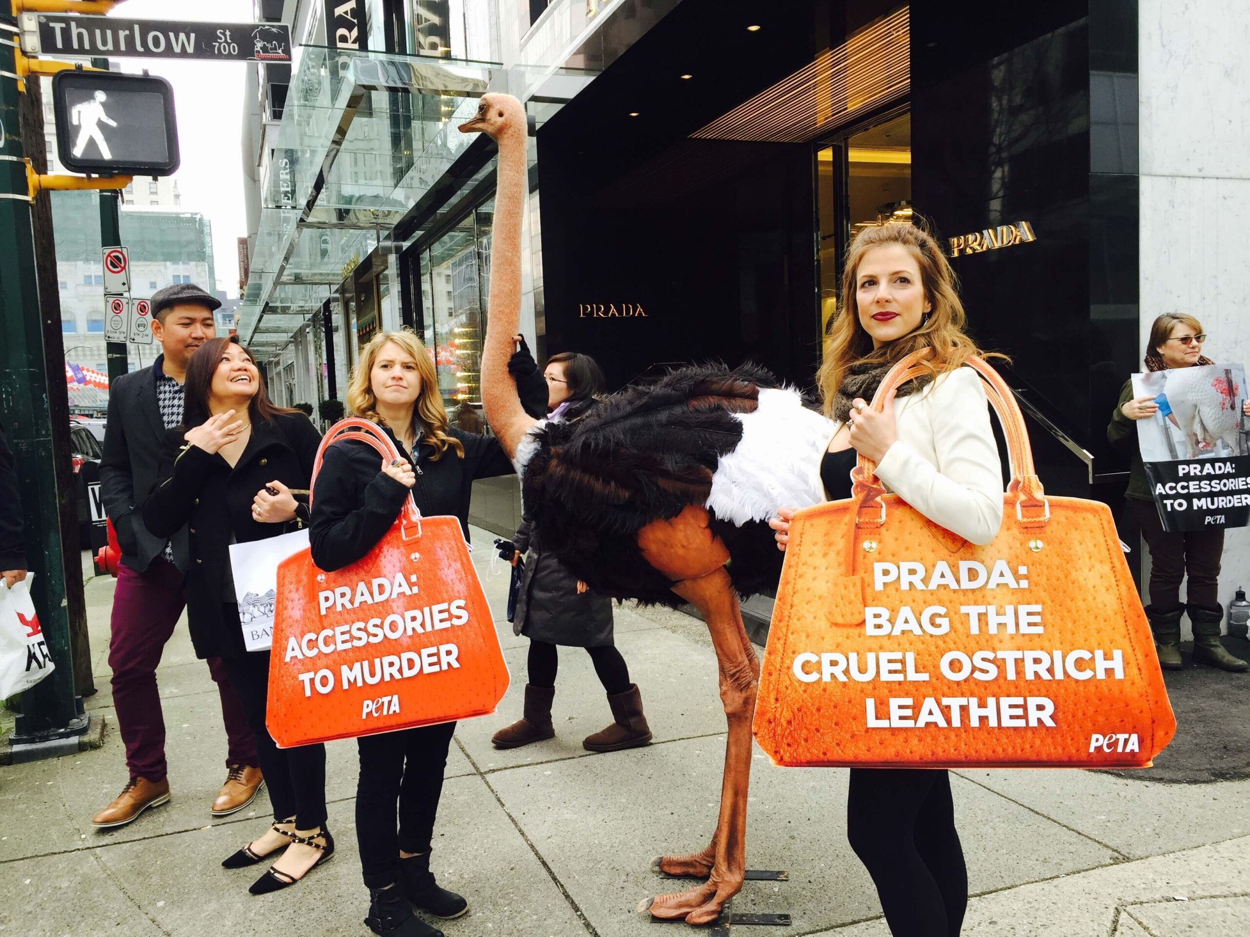 'Dead Ostrich' Protests Ruffle Feathers Around the World - PETA UK