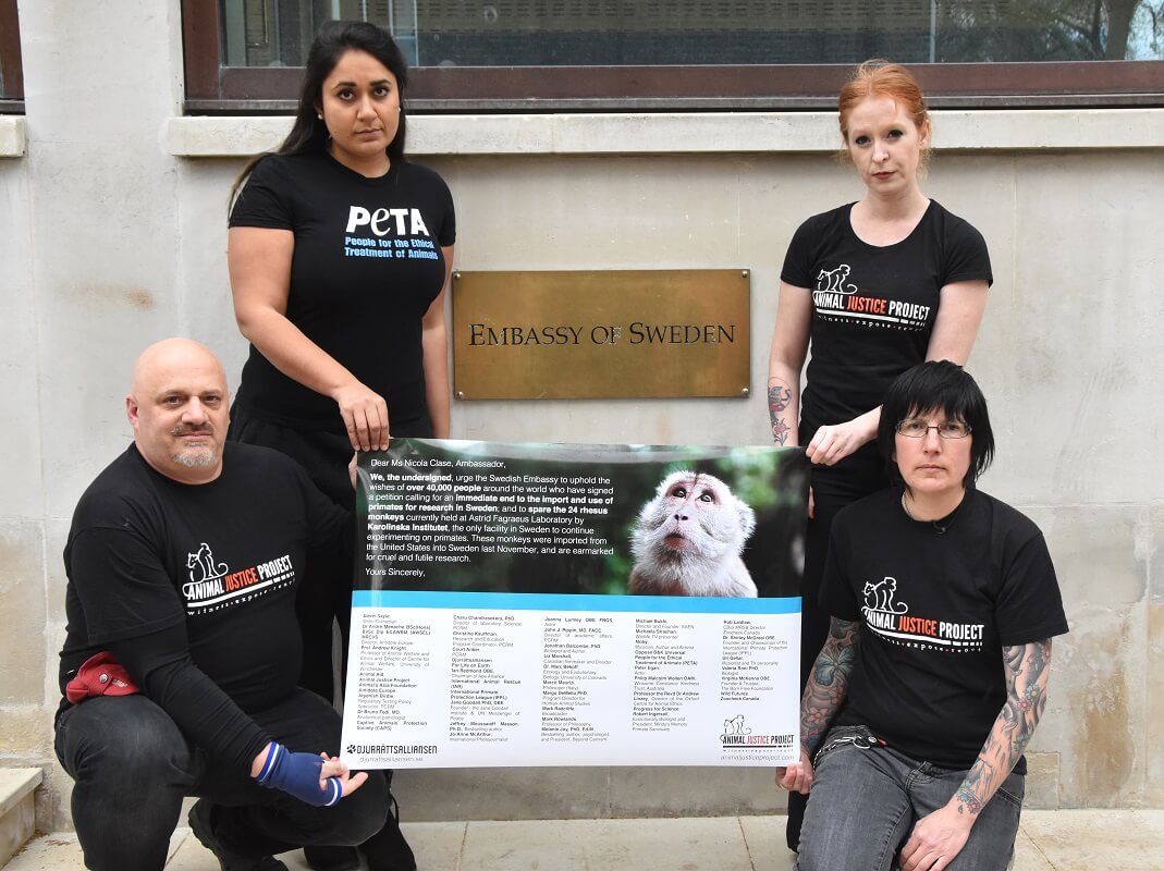 Celebrities Back Petition Against Swedish University's Experiments on ...