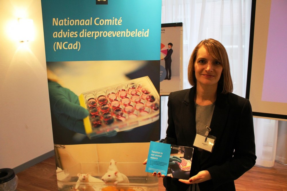 UPDATE: Dutch Government Announces Plan to Phase Out Animal Safety ...