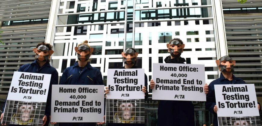 Activists Descend on Home Office to Help Protect Primates in UK ...