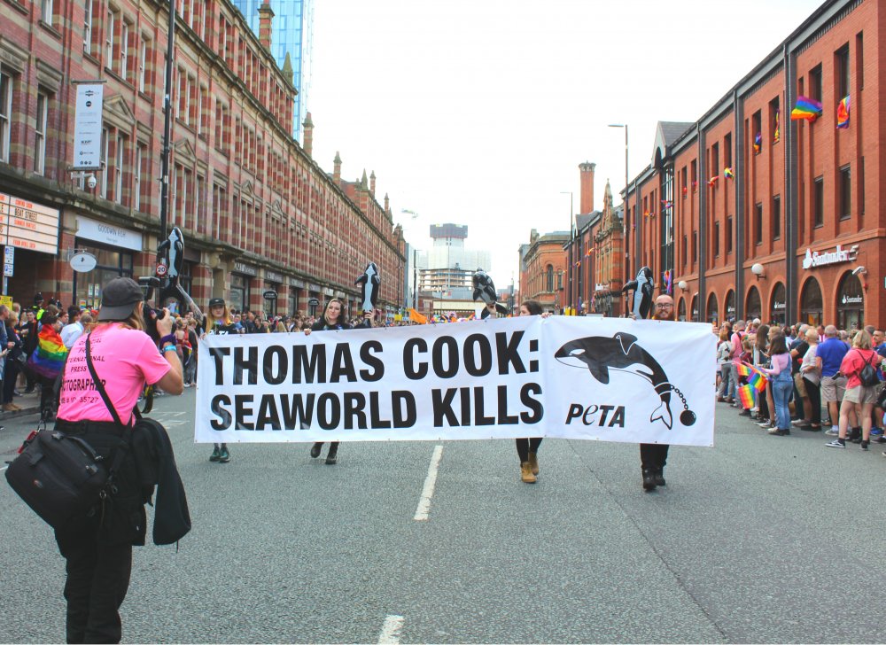 Victory! Travel Giant Thomas Cook Cuts Ties With SeaWorld Following ...