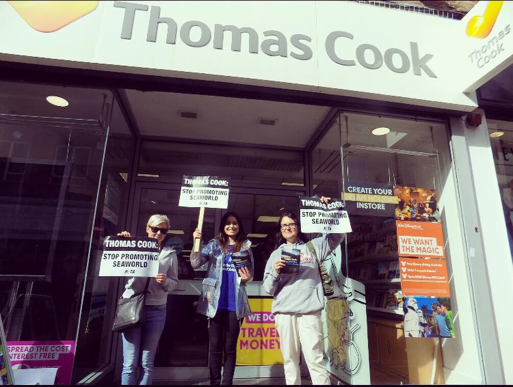 Day of Action! Local Activists Demonstrate Outside Thomas Cook Stores ...