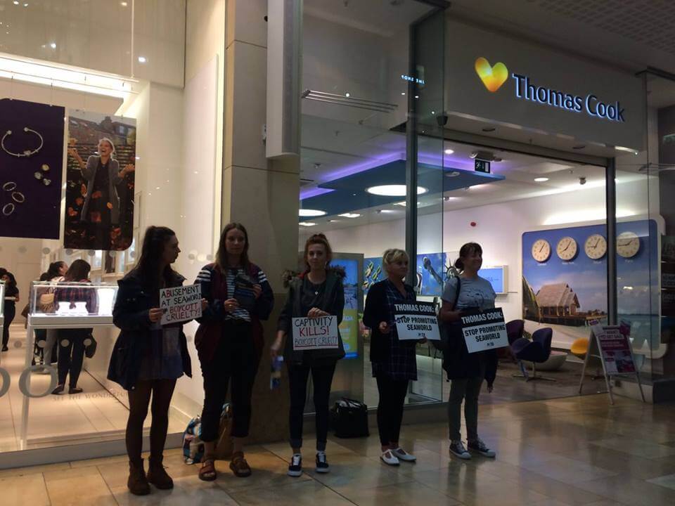 Day of Action! Local Activists Demonstrate Outside Thomas Cook Stores ...