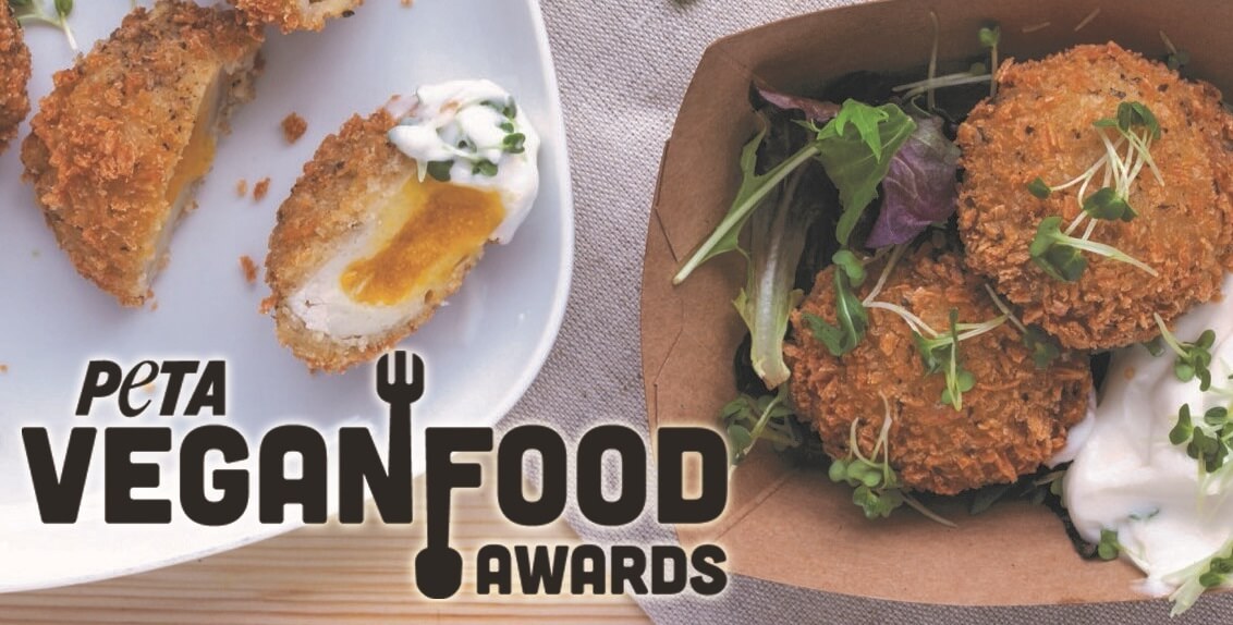 What PETA UK Achieved for Animals in 2017