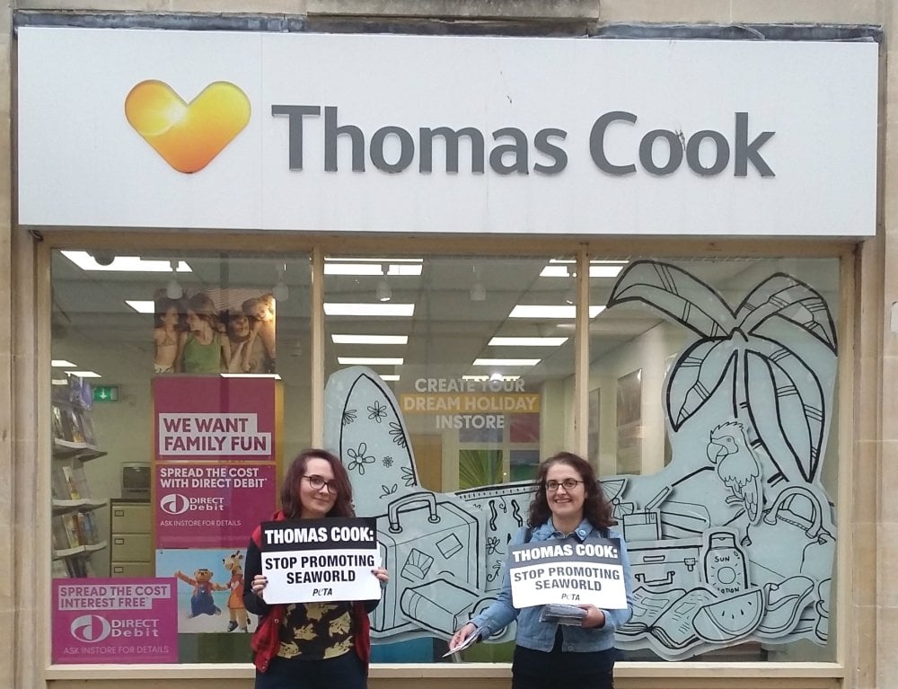 With Second Day of Action, Pressure Mounts on Thomas Cook to Drop SeaWorld