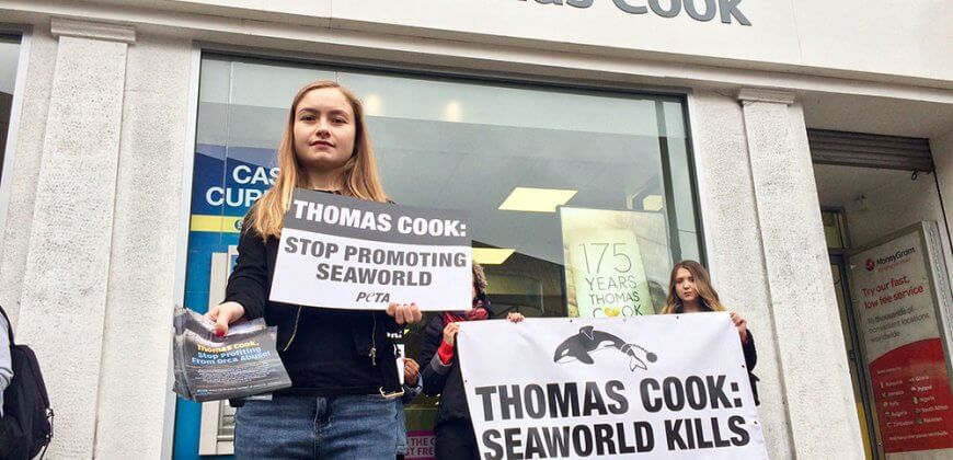 With Second Day of Action, Pressure Mounts on Thomas Cook to Drop SeaWorld