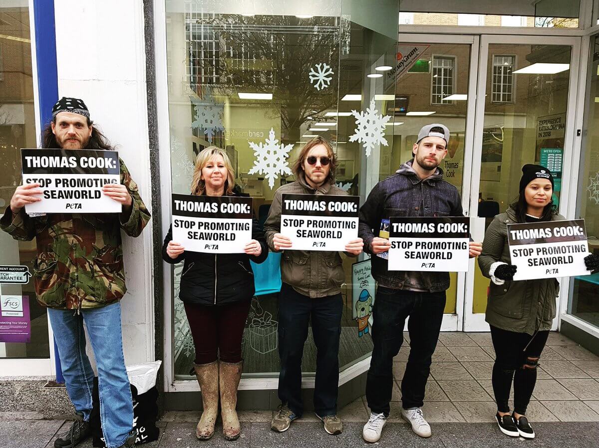 Photos: Exeter Locals Urge Thomas Cook to Sever Ties with Seaworld ... Photos: Exeter Locals Urge Thomas Cook to Sever Ties with Seaworld ...