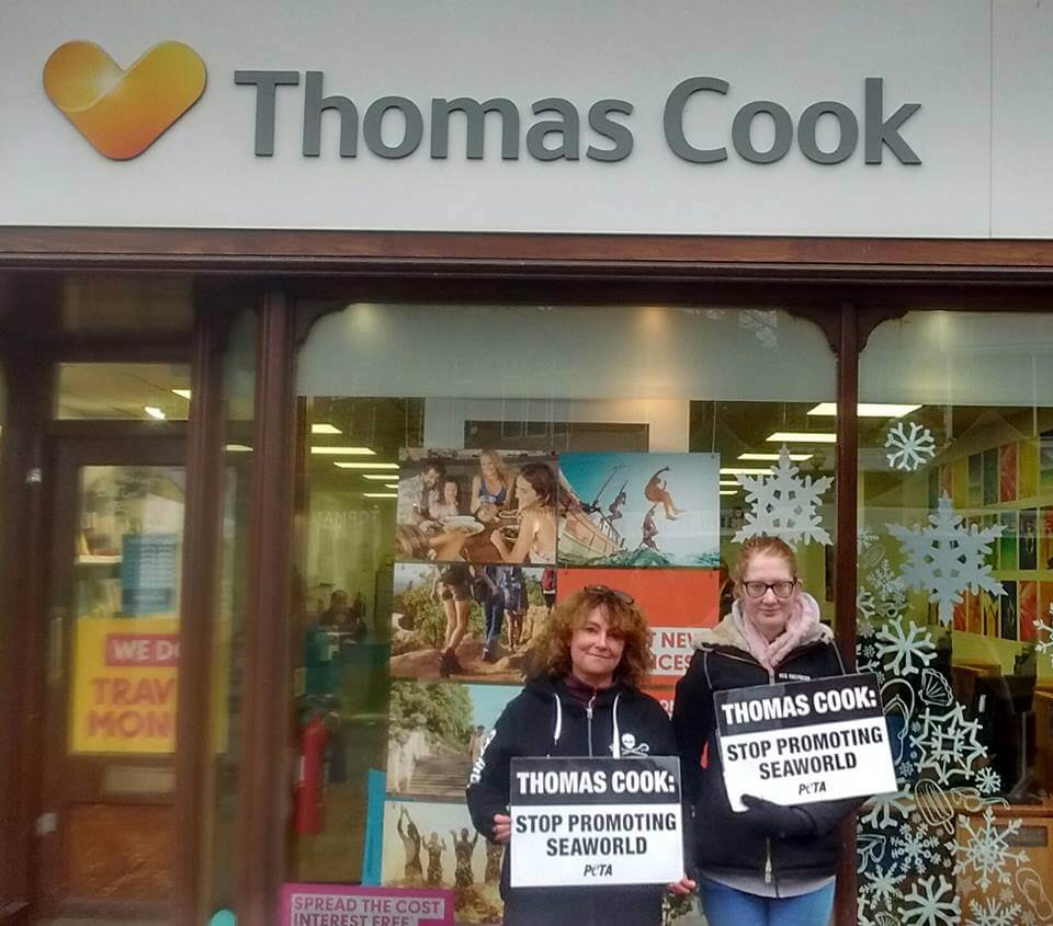 Week of Action! Campaign for Thomas Cook to Drop SeaWorld Goes ...