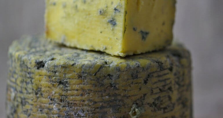 9 Gross Facts About Cheese for #Februdairy