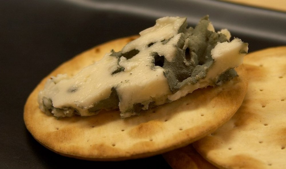 9 Gross Facts About Cheese for #Februdairy