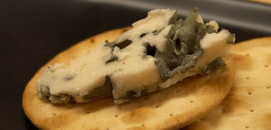 9 Gross Facts About Cheese for #Februdairy