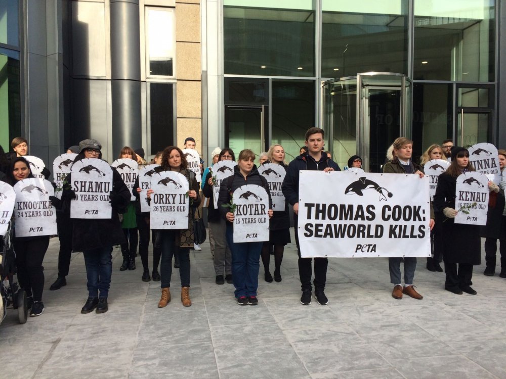 Top 5 PETA Victories for Animals in 2018 - PETA UK