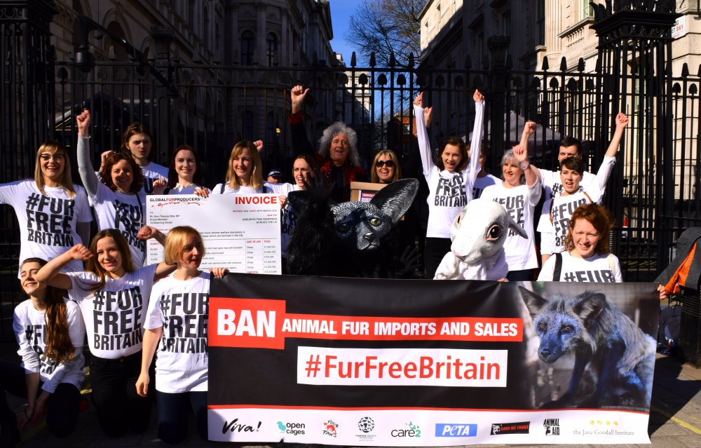Queen Guitarist Brian May Delivers Huge Fur-Free Petition to Downing Street
