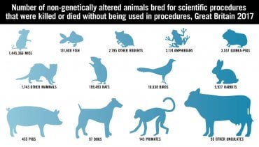 Life in an Animal Testing Laboratory: An 'Unused' Animal's Experience