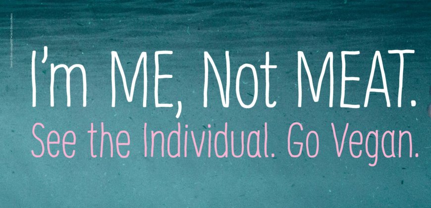 A Message From Fish: 'I'm ME, Not MEAT!'