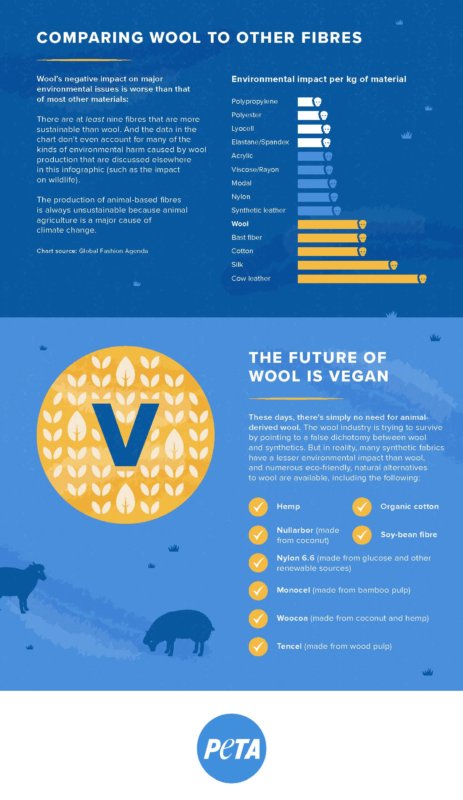 A Campaign to Greenwash Wool Gets Aired Out by PETA