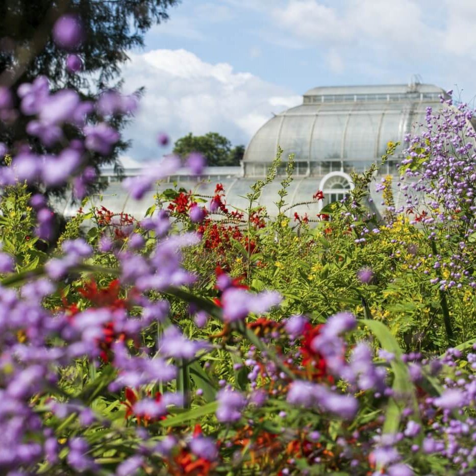 Animal-Friendly Family Days Out in the UK - PETA UK