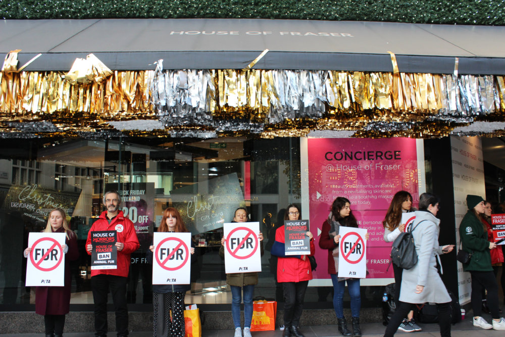 The Newest Frasers Group Shareholder Is … PETA US