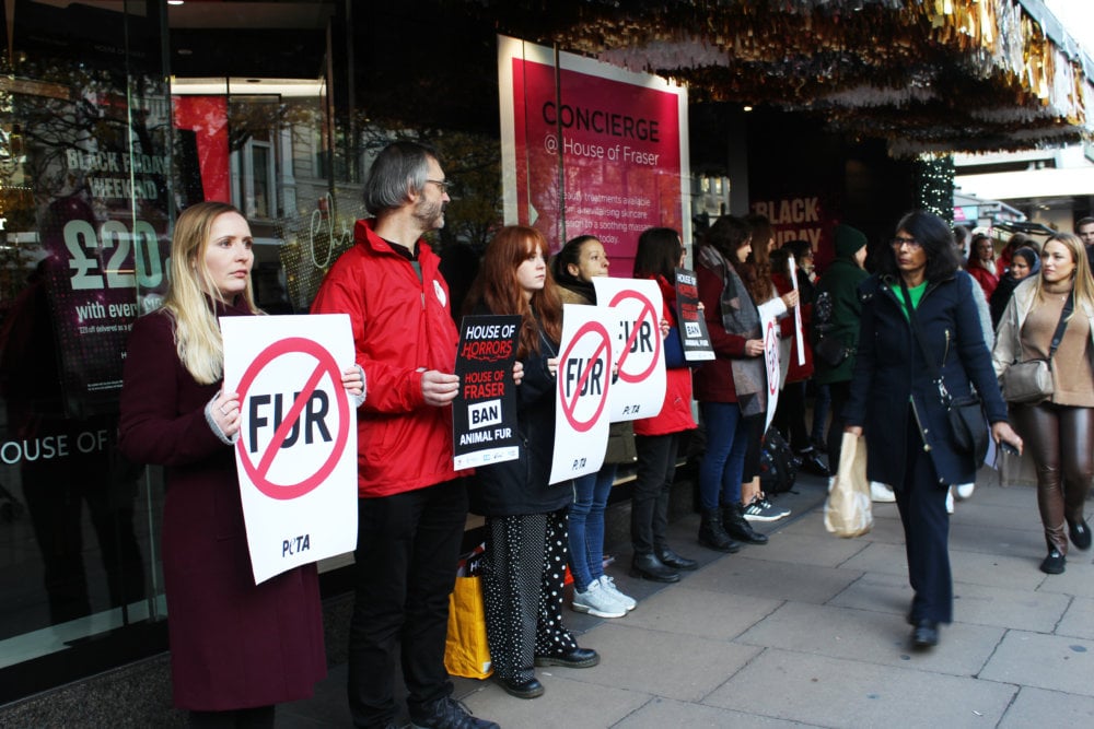 Big News! Frasers Group to Go Fur-Free Following Pressure From PETA and ...