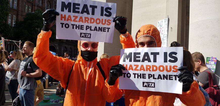 Advocacy in Action: PETA Campus Reps Speak Up for Animals