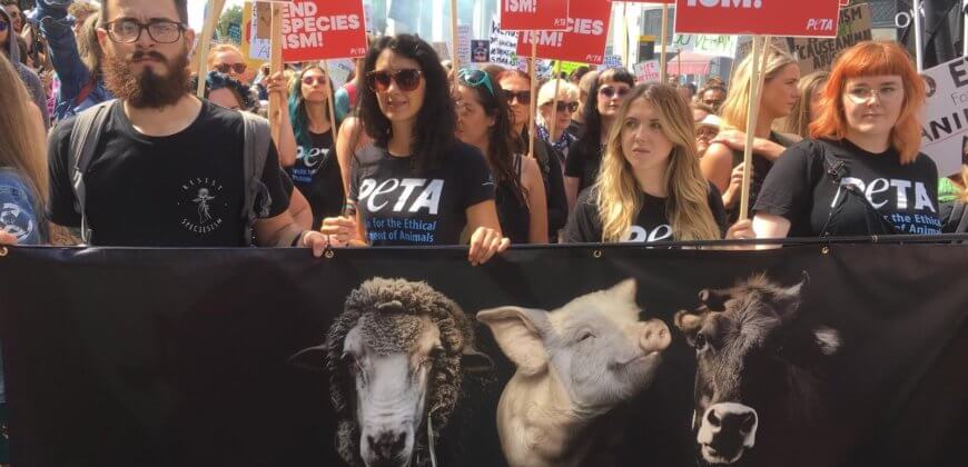 Peta Animal Rights Photo Shoot
