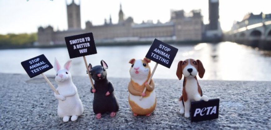 World Day for Animals in Labs: Small Protesters Hit Parliament With Big ...