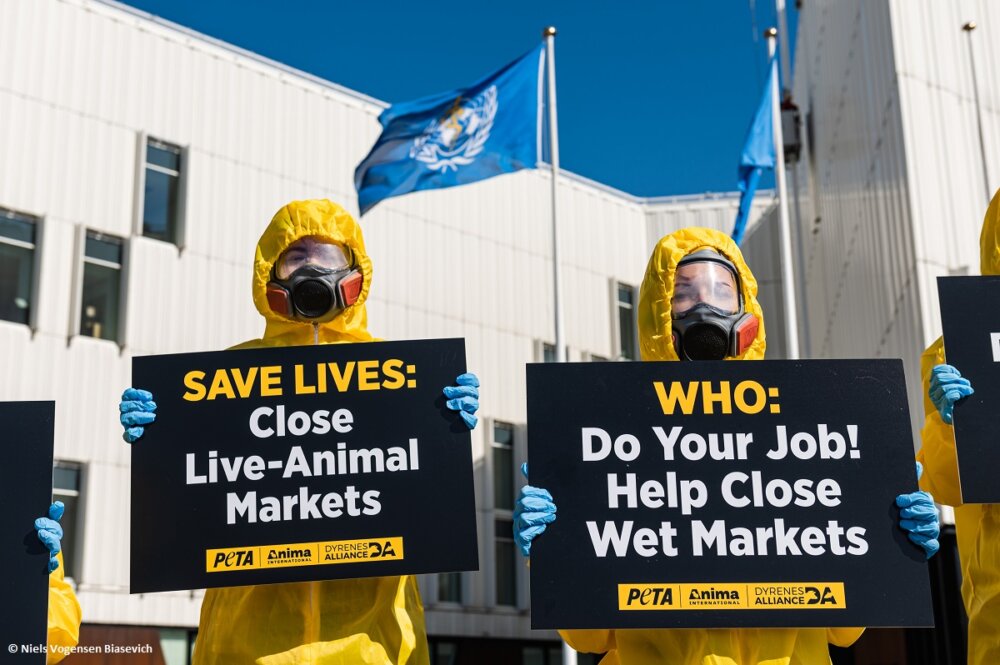PETA Supporters Urge WHO to Help Close Wet Markets