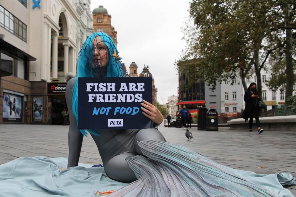 National Seafood Week: PETA Supporters Take Action for Sea Animals