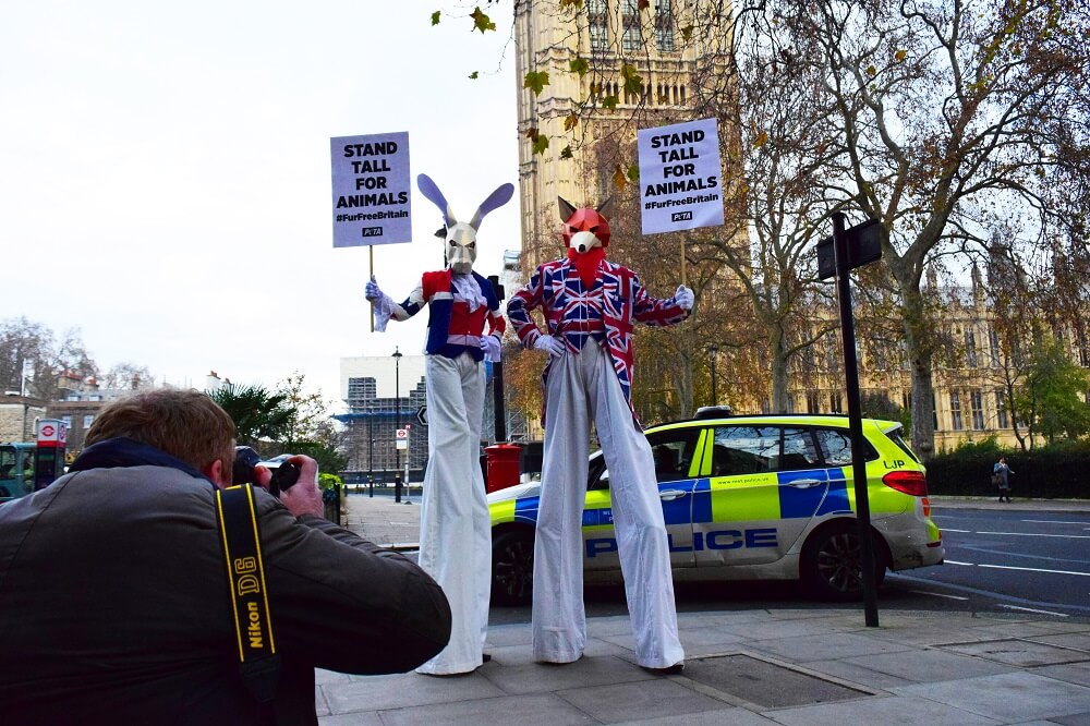 Celebrities and Animal Protection Groups Band Together for a # ...