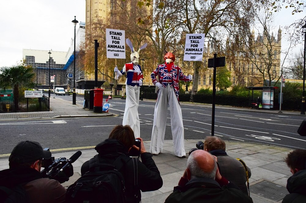 Protesters on Stilts 'Stand Tall for Animals' This Fur-Free Friday
