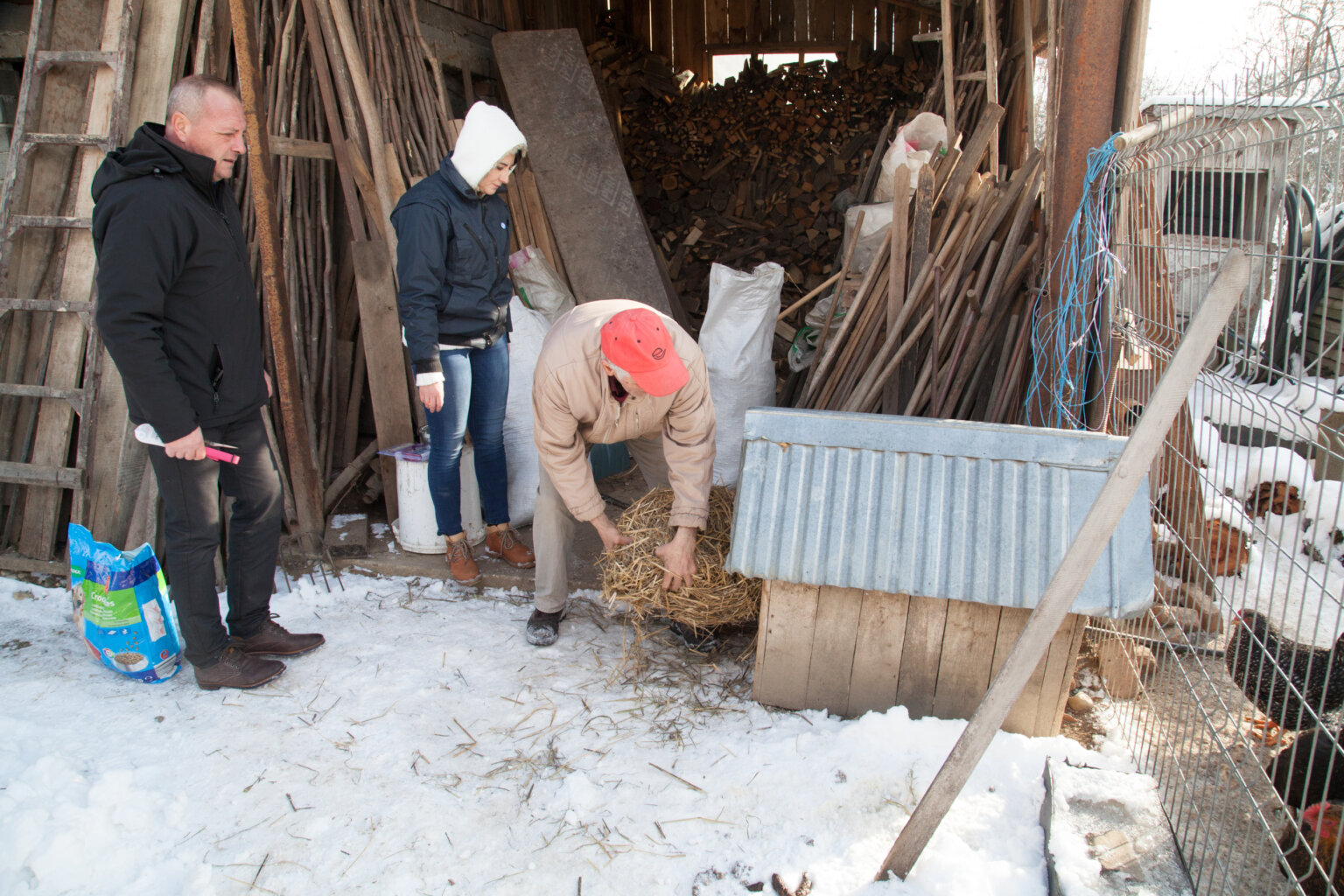 Here’s How You Can Help Homeless Animals in Romania This Winter