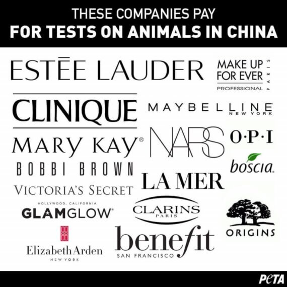 PETA Answers Your Questions on Animal Testing for Cosmetics - PETA UK PETA Answers Your Questions on Animal Testing for Cosmetics - PETA UK