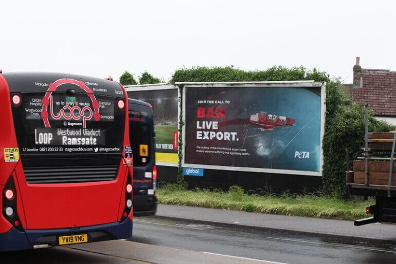 New PETA Billboard Goes Up to Bring Live Exports Down
