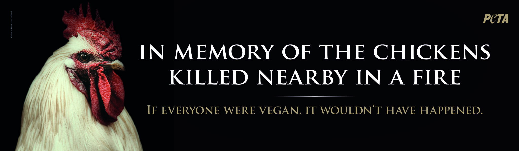 Memorial Billboard to Pay Tribute to 50,000 Chickens Killed in ...