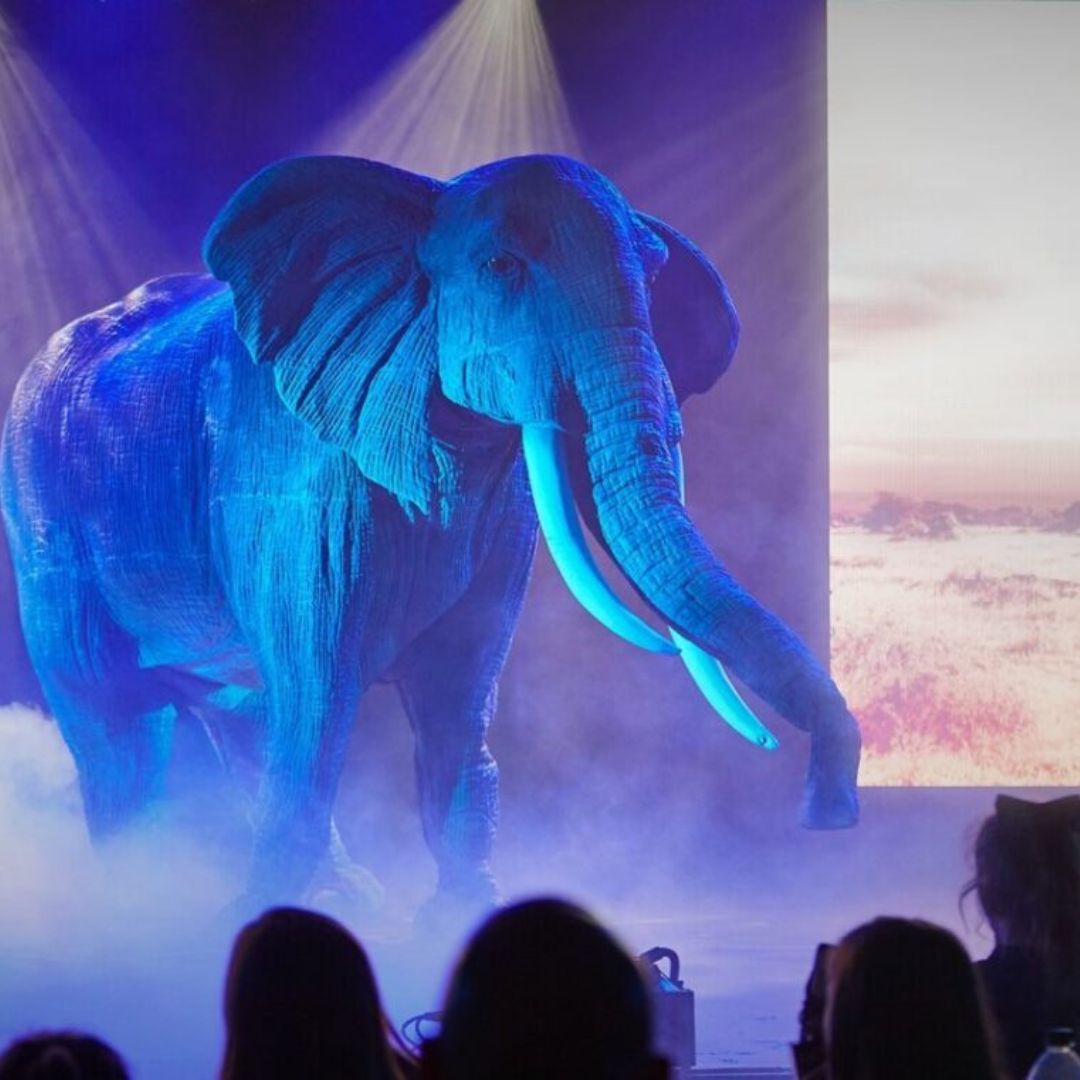 14 Alternatives to Visiting the Zoo - PETA UK