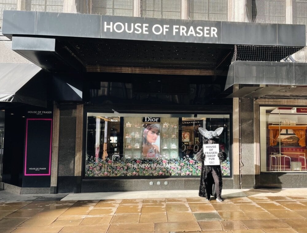 Who Was the Unexpected Guest at Frasers Group Annual Meeting? PETA US!