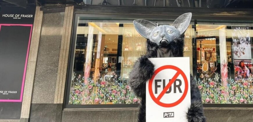 Big News! Frasers Group to Go Fur-Free Following Pressure From PETA and ...