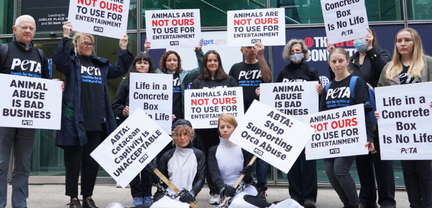 PETA Protest: ‘Orcas’ Speak Out Against Marine Park Captivity